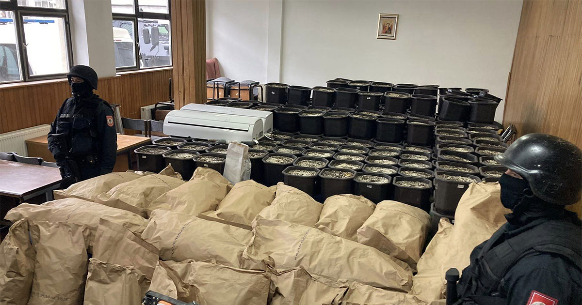U akciji "Roma" zaplijenjeno 20,4 kilograma droge i 209 stabljika ...