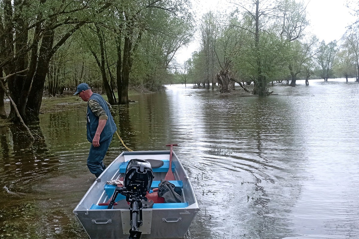 Ribočuvari tražili krivolovce, pa pomogli kobili koja se mučila sa ...